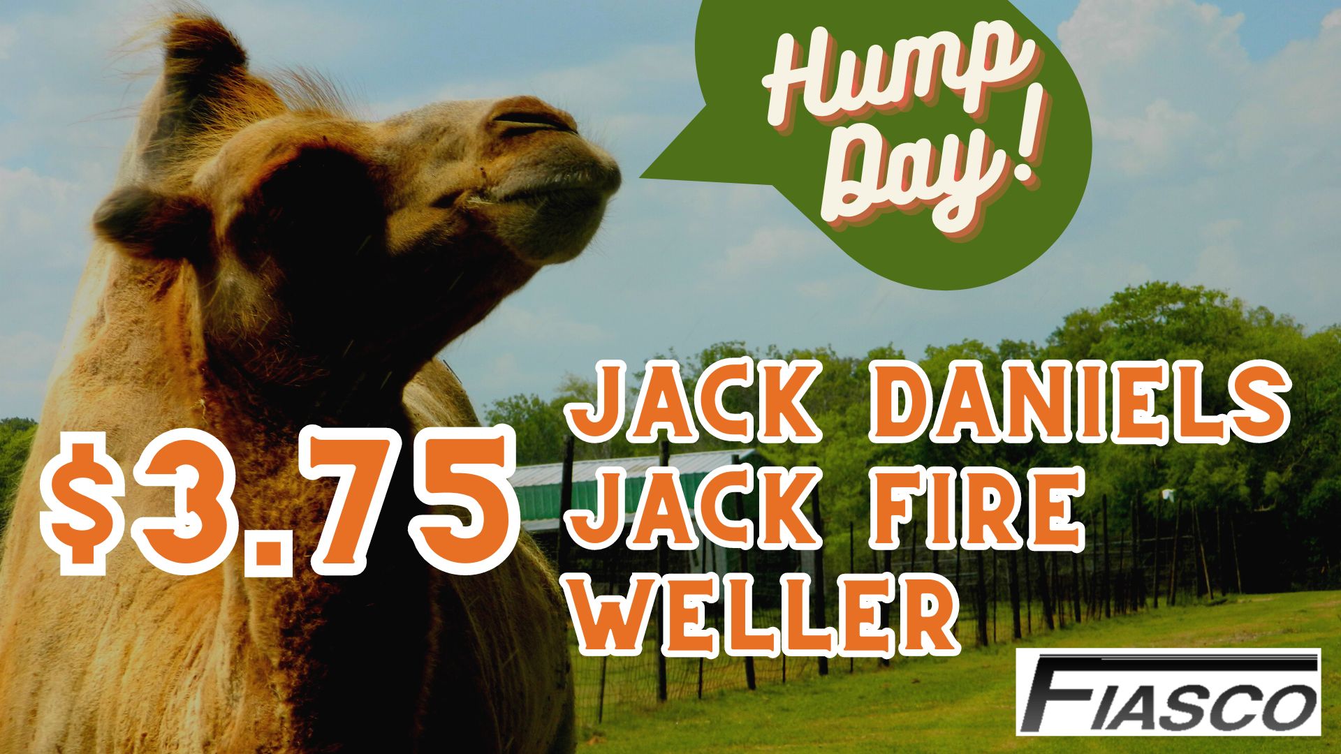 Drink Specials – Fiasco Sports Bar